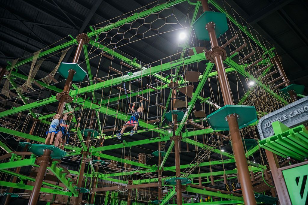 The Canopy | Activity | Jungle Adventure Play